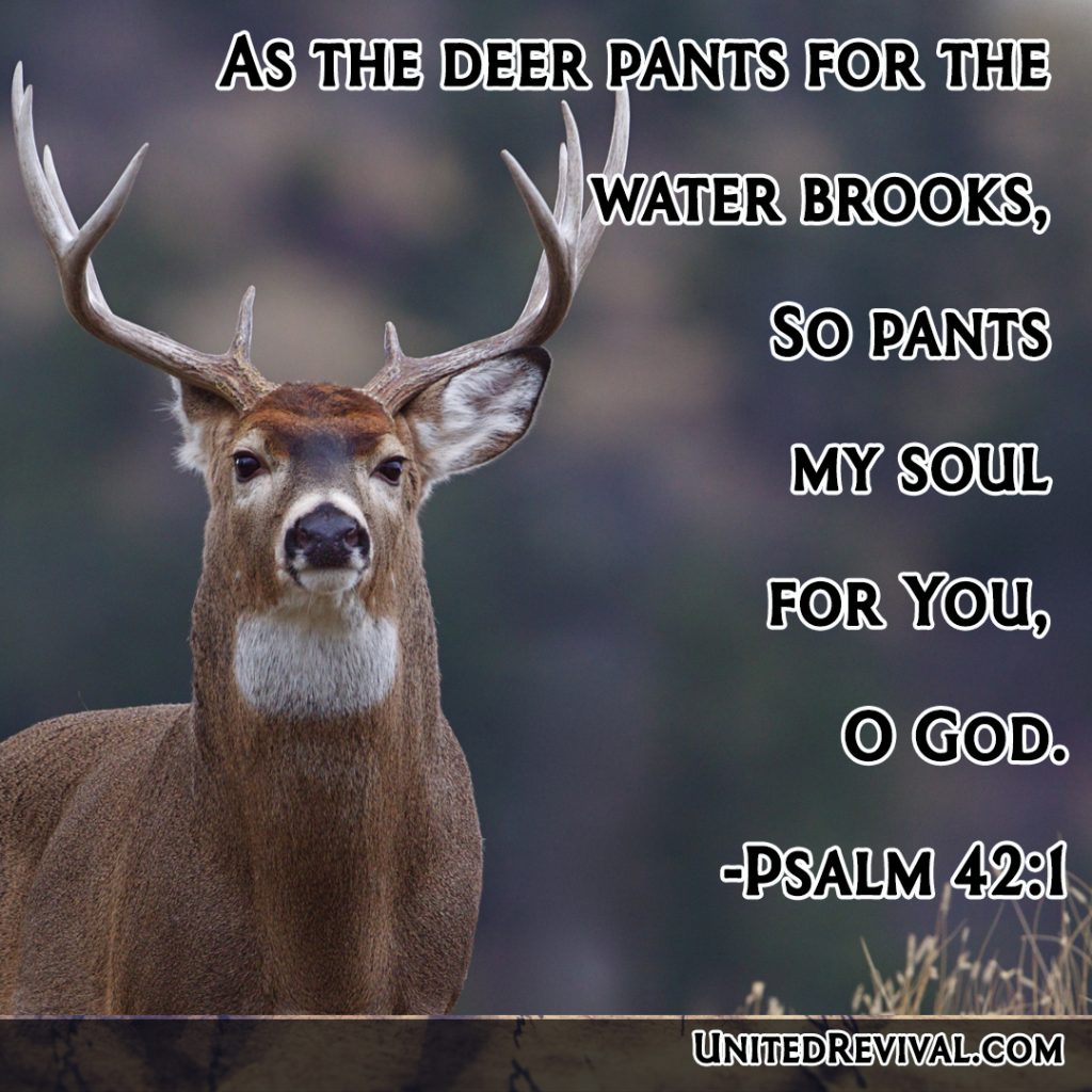 As the deer pants for the water brooks, So pants my soul for You, O God ...
