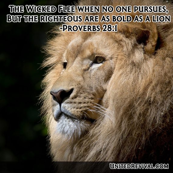 The Wicked Flee when no one pursues, But the righteous are as bold as a ...