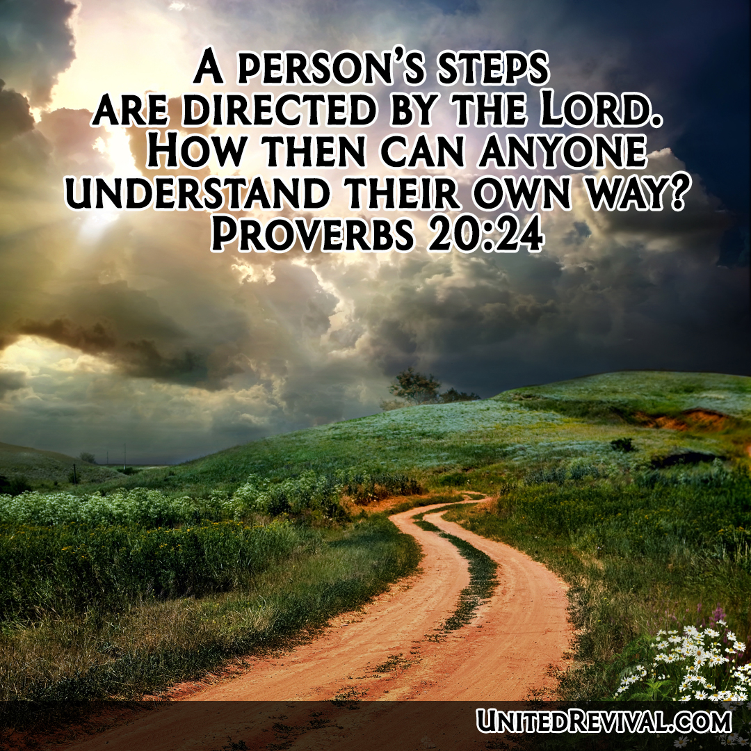A person’s steps are directed by the Lord. How then can anyone ...