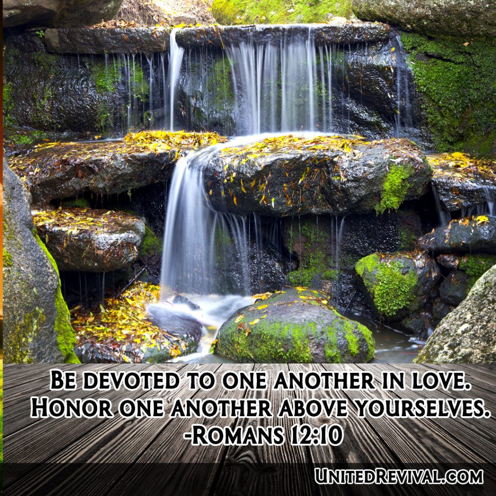 Be devoted to one another in love. Honor one another above yourselves ...