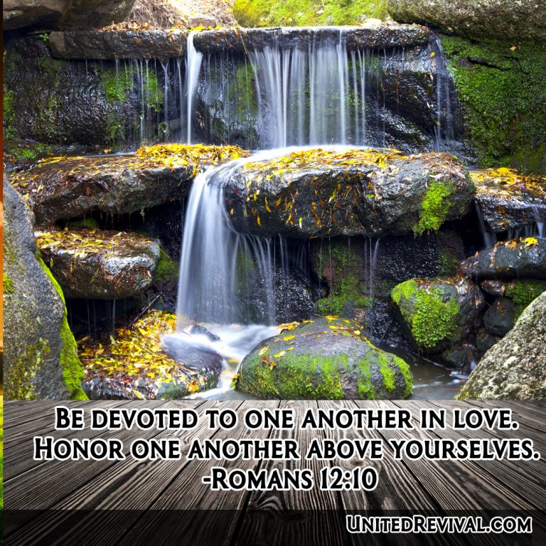 Be devoted to one another in love. Honor one another above yourselves ...