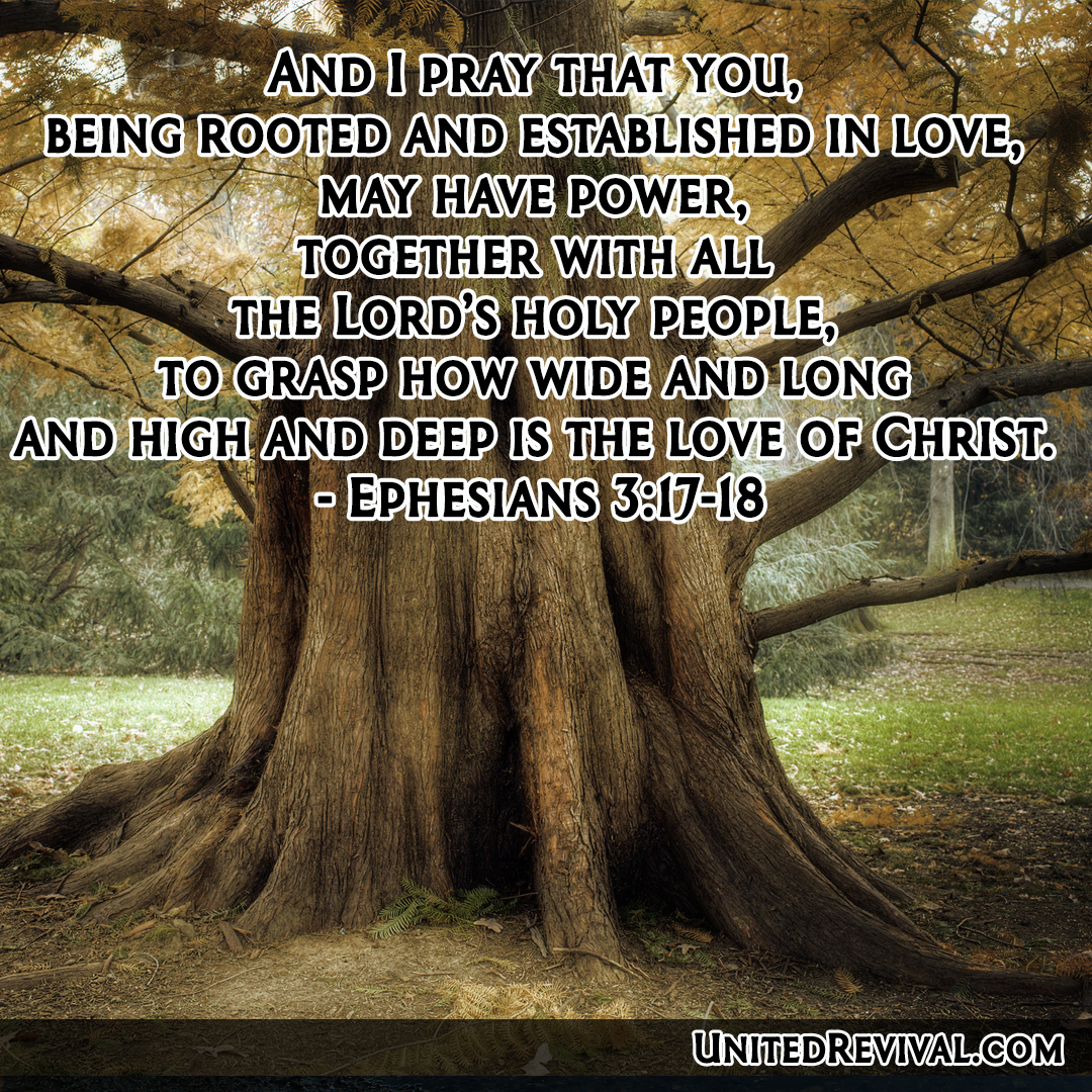 And I pray that you, being rooted and established in love, may have ...