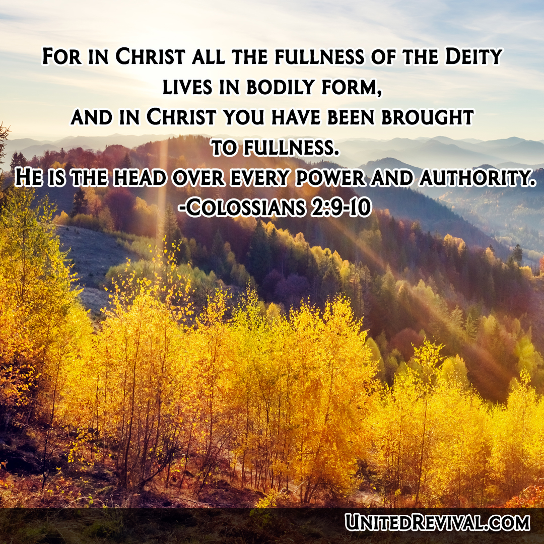 For in Christ all the fullness of the Deity lives in bodily form, and ...