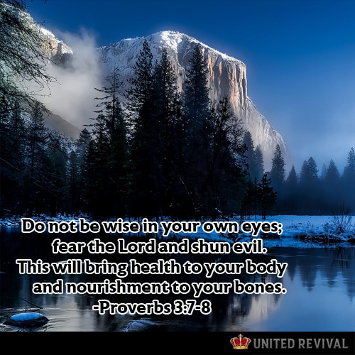 Do not be wise in your own eyes; fear the Lord and shun evil. This will ...